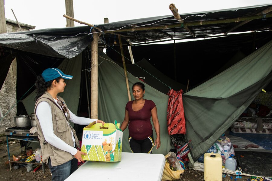 5 profesiones clave en la labor humanitaria de WFP | World Food Programme