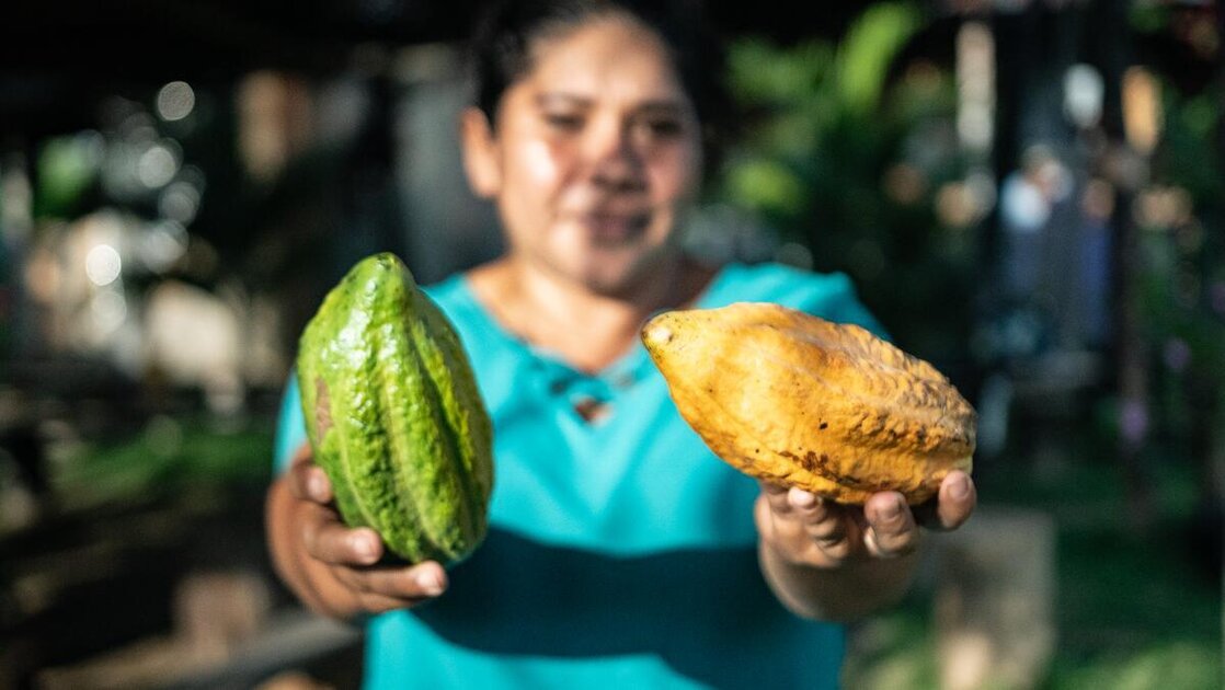 2025 a través del visor | World Food Programme