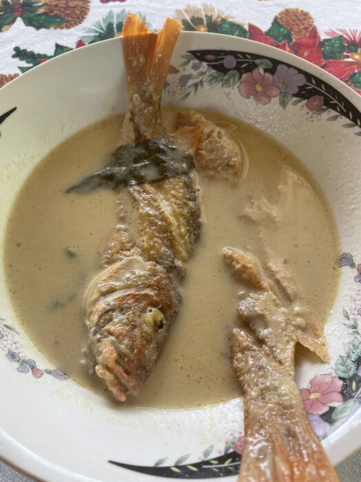 Las afrohondureñas y su sopa de pescado con machuca | World Food Programme